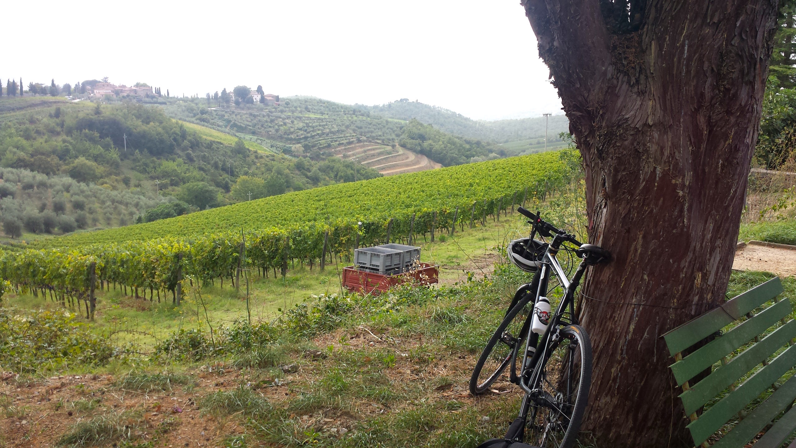 Photos from our biking tours in Tuscany - I Bike Tuscany