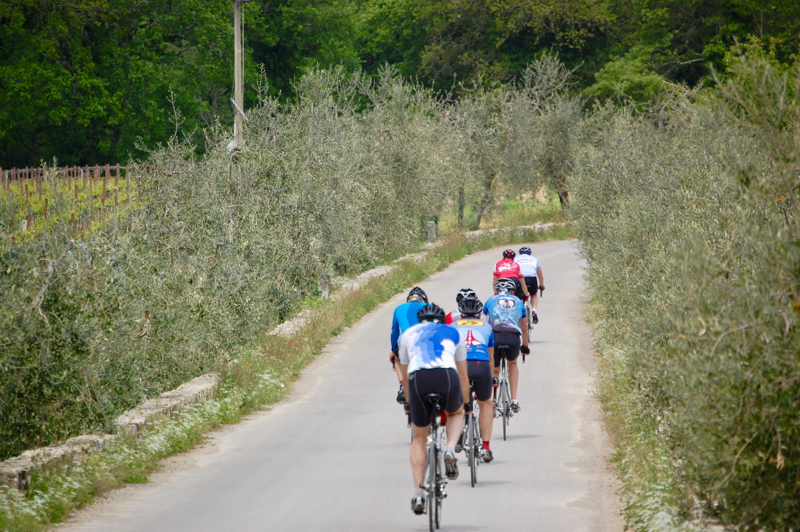 Photos from our biking tours in Tuscany - I Bike Tuscany